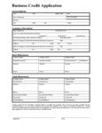 Customer Application Form Template