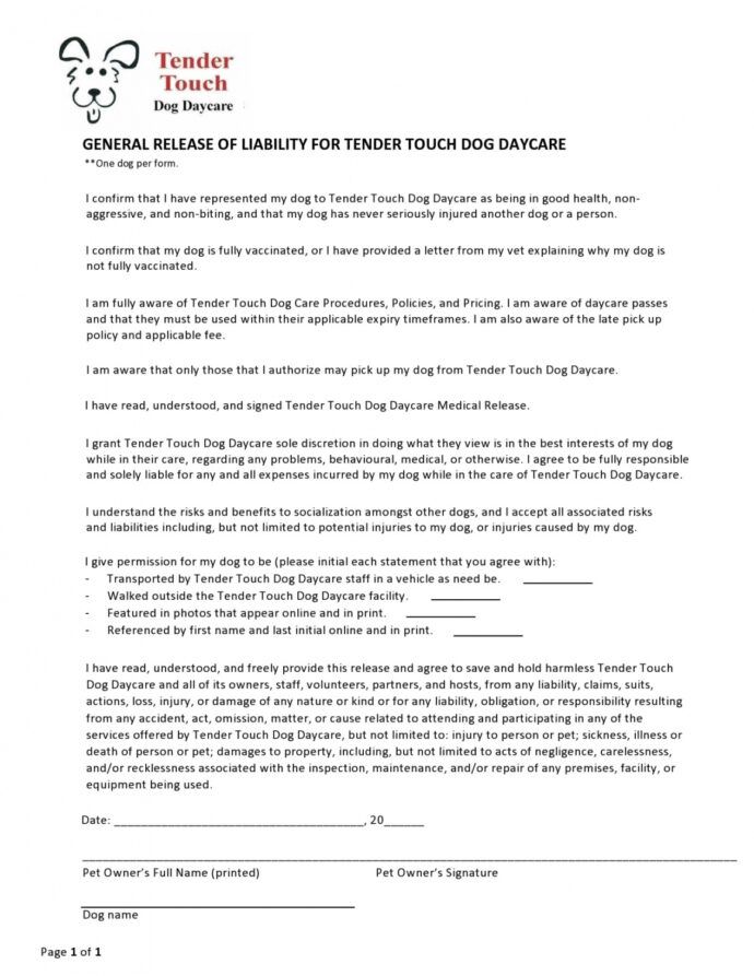 Free 30 Editable General Release Of Liability Forms Free General ...