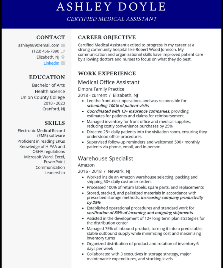 Japanese Resume Template in English